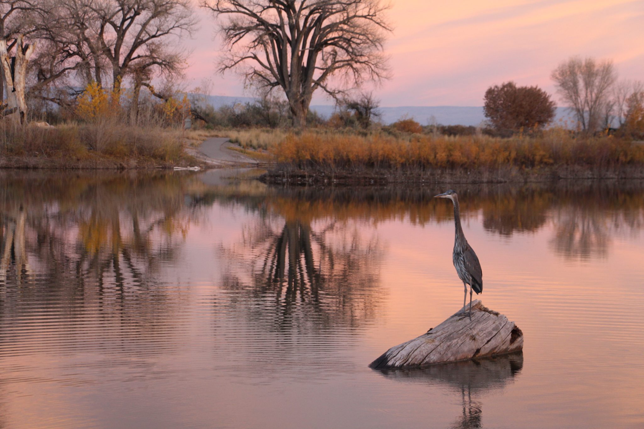 NU Partner Spotlight: Mesa Land Trust - Lands for Tomorrow